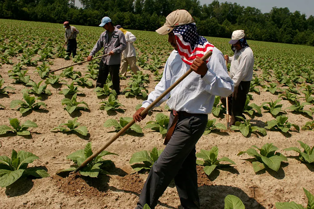 New York Times: To Address Farm Labor Shortage, Trump Administration ...